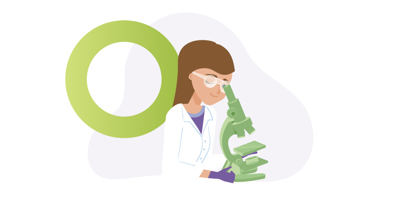 The IVF Process: A Step-by-Step Guide